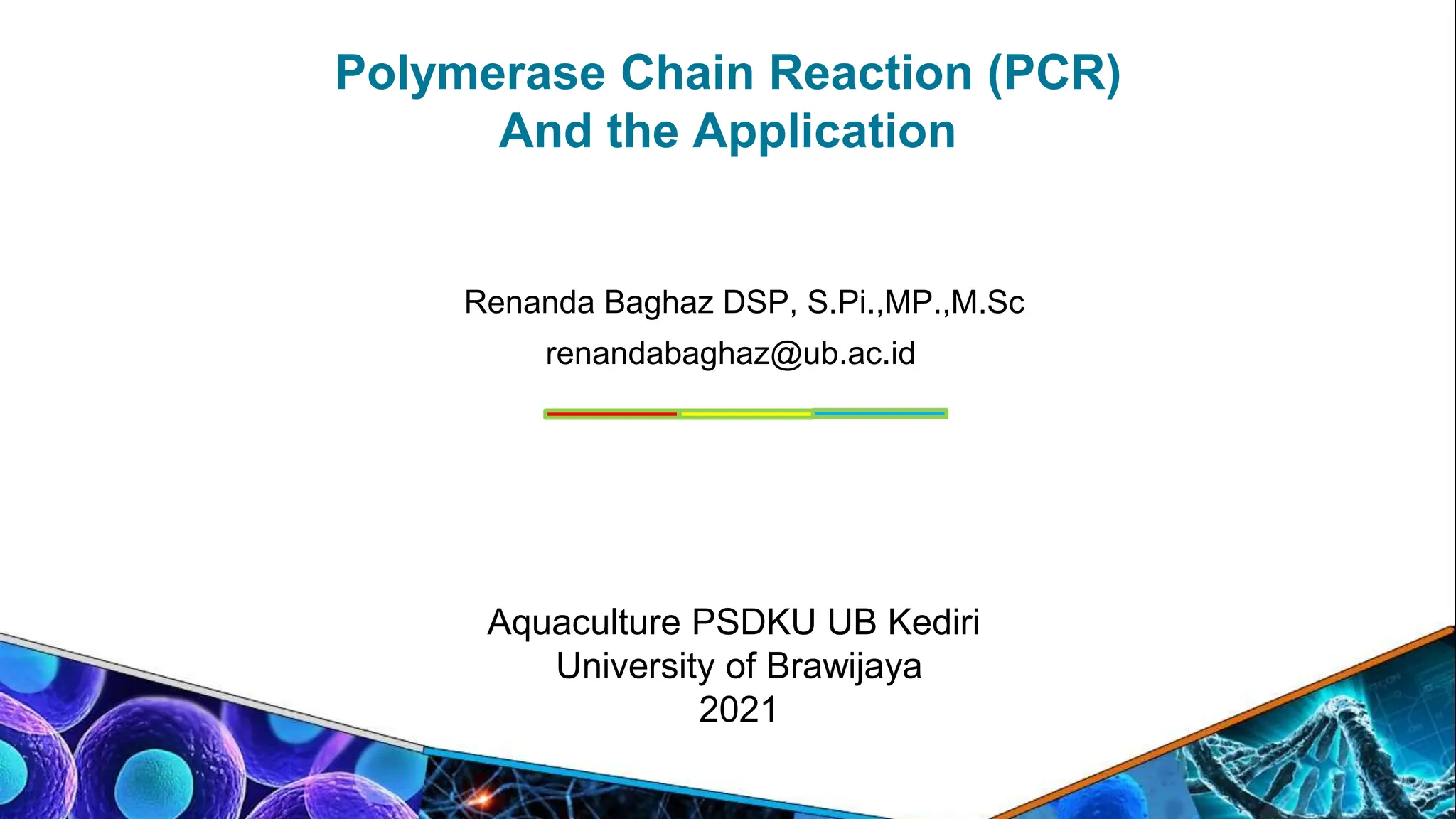 Polymerase Chain Reaction (PCR) and The Application.pptx