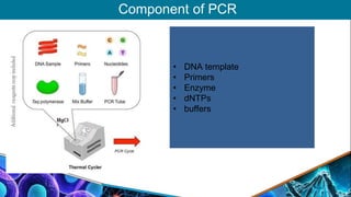Polymerase Chain Reaction (PCR) and The Application.pptx