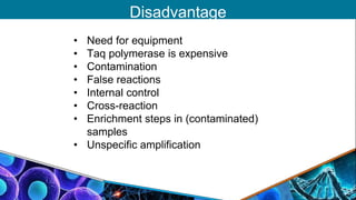 Polymerase Chain Reaction (PCR) and The Application.pptx