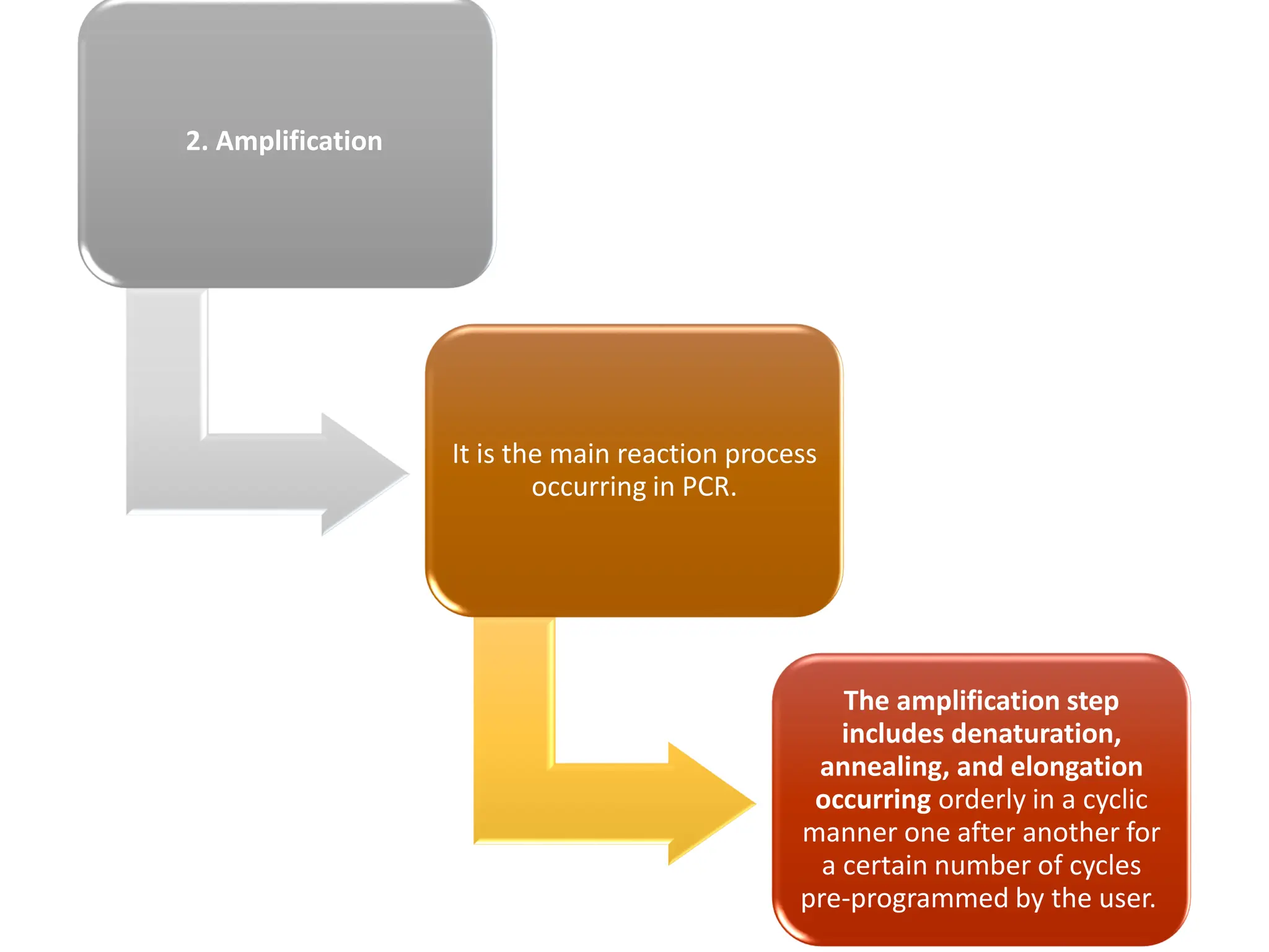 polymerase chain reaction (PCR): Concepts and Indications.pdf