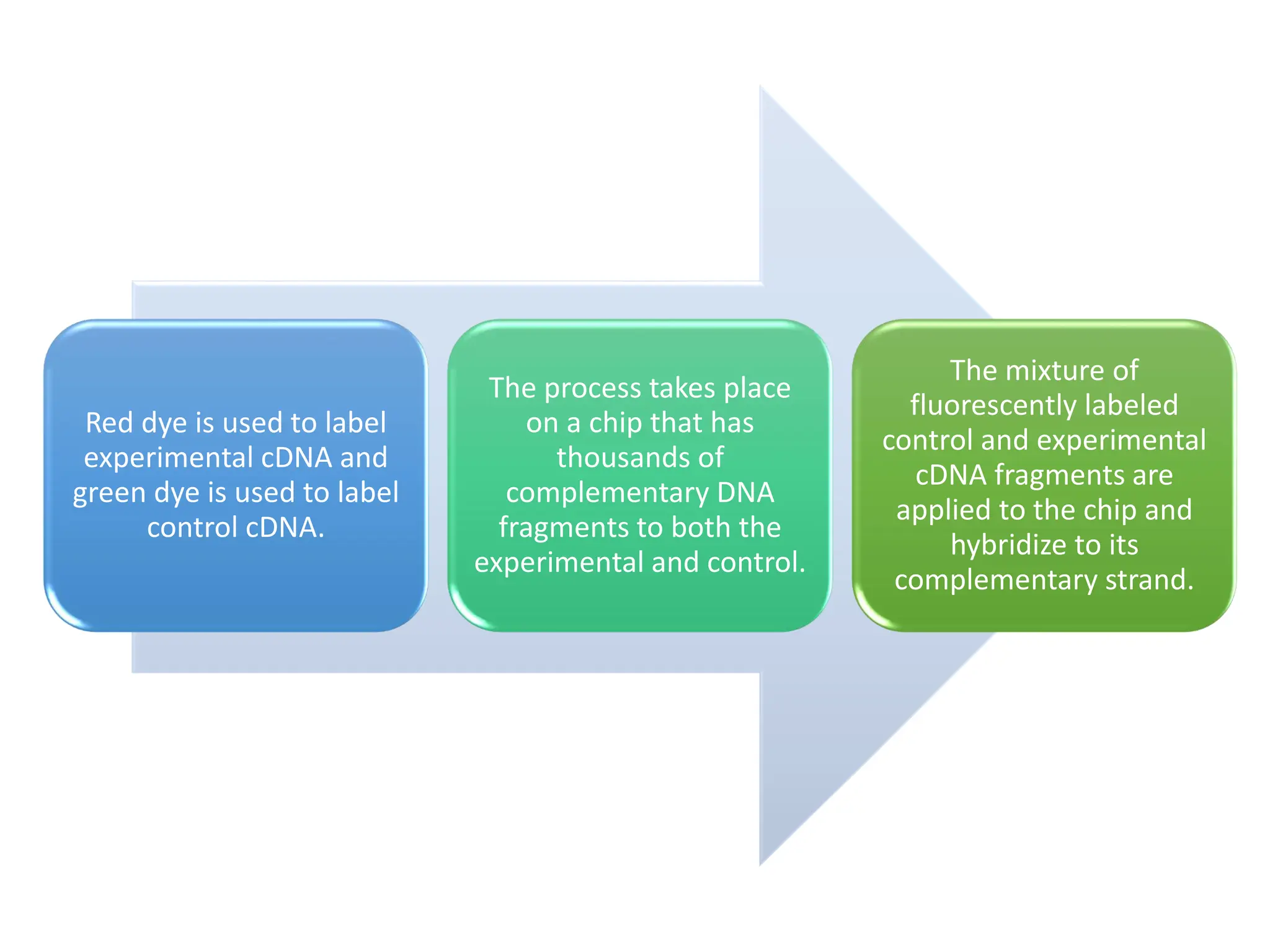 polymerase chain reaction (PCR): Concepts and Indications.pdf