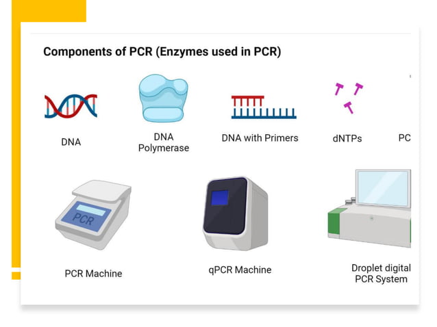 polymerase chain reaction (PCR): Concepts and Indications.pdf