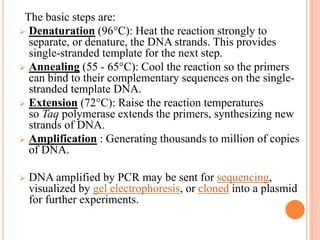 Unveiling the Power of Polymerase Chain Reaction (PCR): Revolutionizing ...