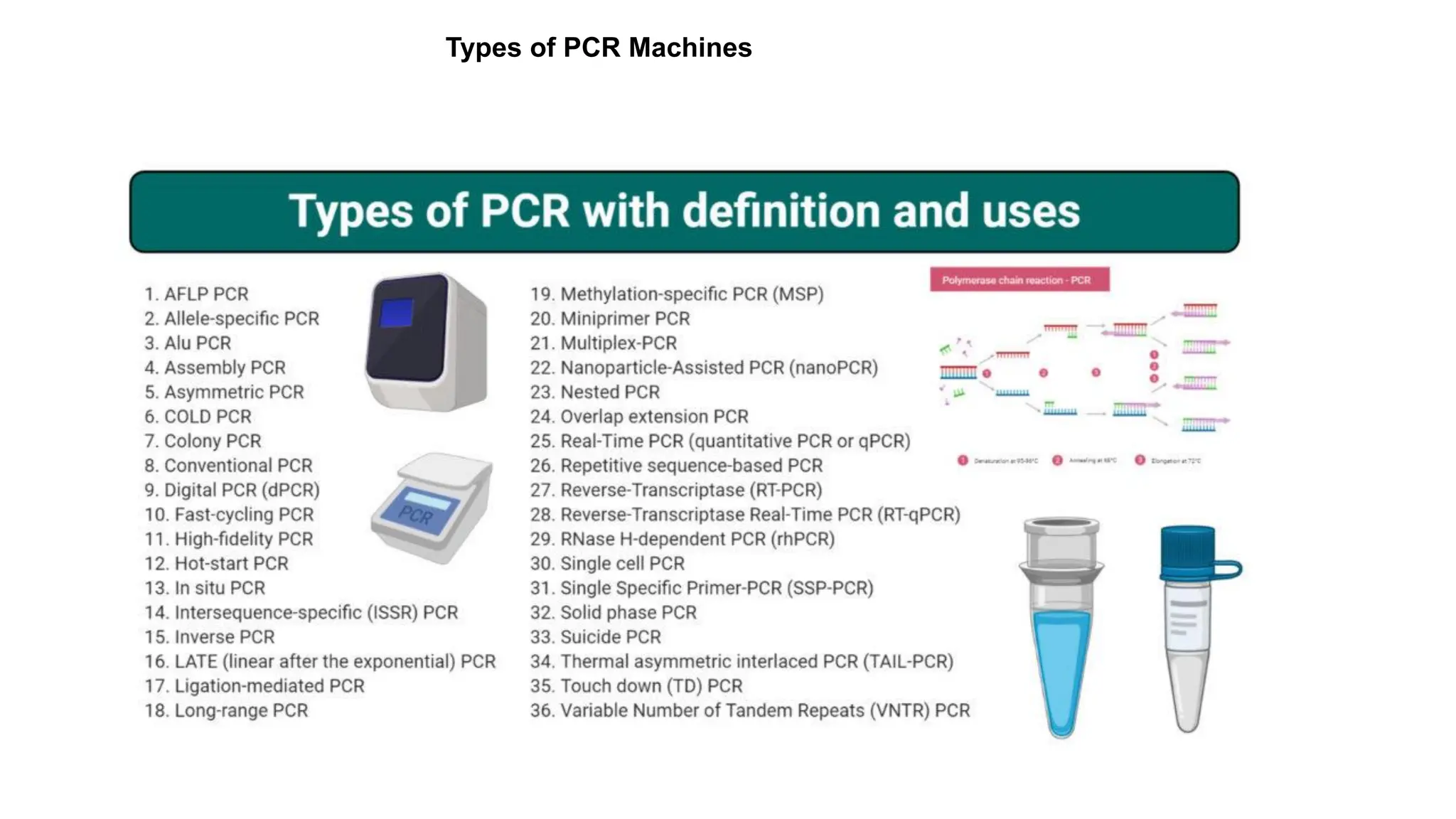 pcr.pdf molecular genetics pdf pcr practicale | PDF | Chemistry | Science