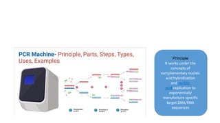 pcr.pdf molecular genetics pdf pcr practicale | PDF | Chemistry | Science