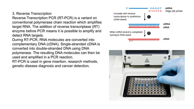 pcr.pdf molecular genetics pdf pcr practicale | PDF | Chemistry | Science