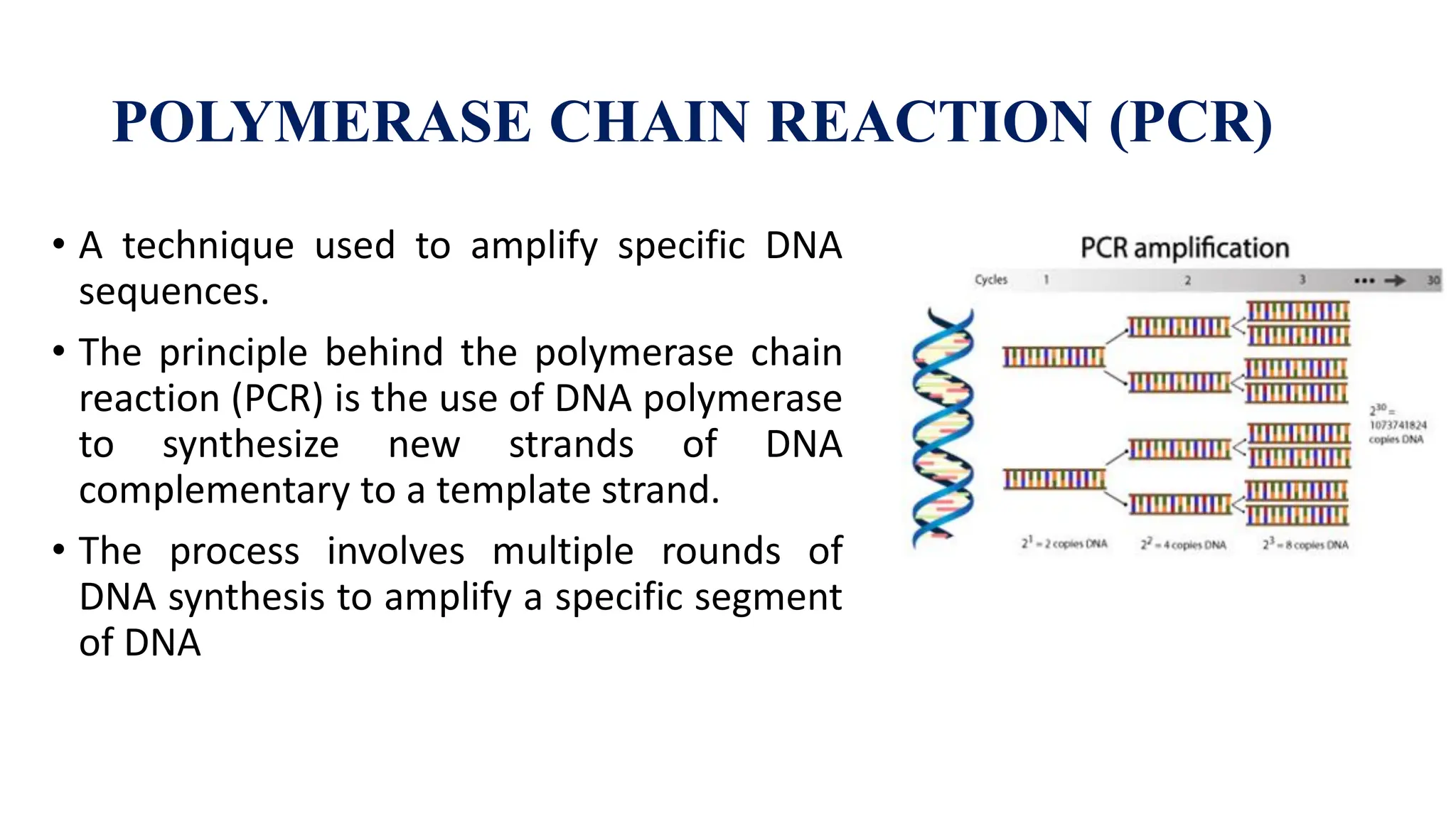 Polymerase Chain Reaction (PCR)- Steps and Application | PDF