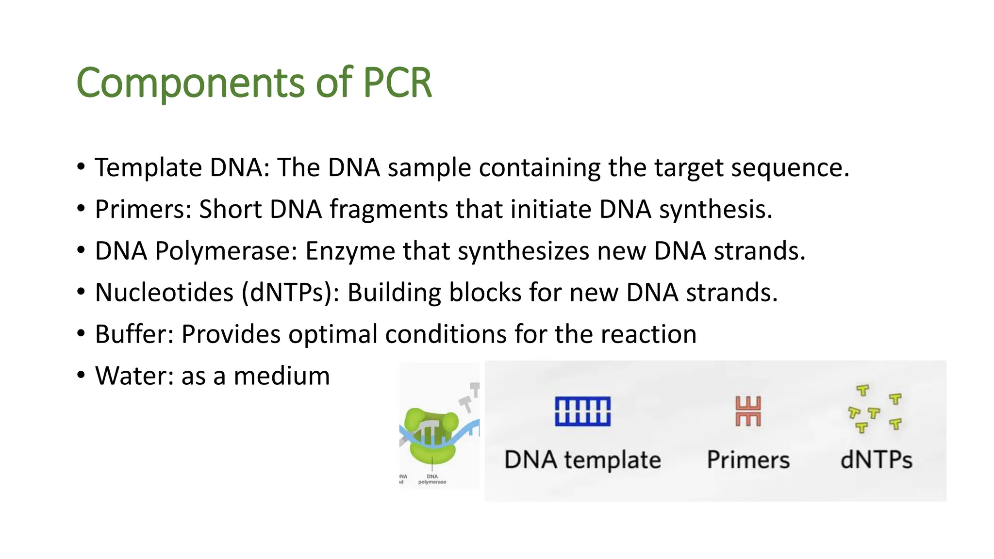 Polymerase Chain Reaction (PCR)- Steps and Application | PDF