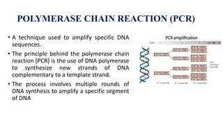 Polymerase Chain Reaction (PCR)- Steps and Application | PDF