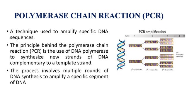 Polymerase Chain Reaction (PCR)- Steps and Application | PPT