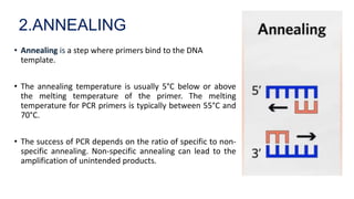 Polymerase Chain Reaction (PCR)- Steps and Application | PDF