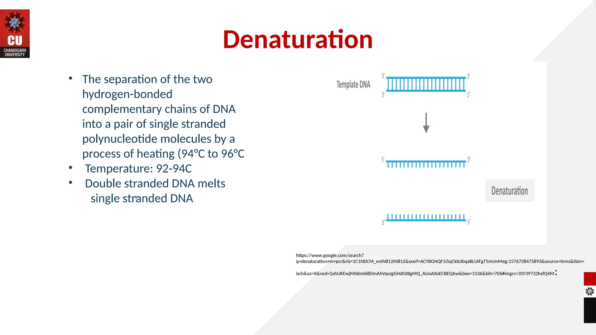 Polymerase Chain Reaction & its functioning PCR.pptx