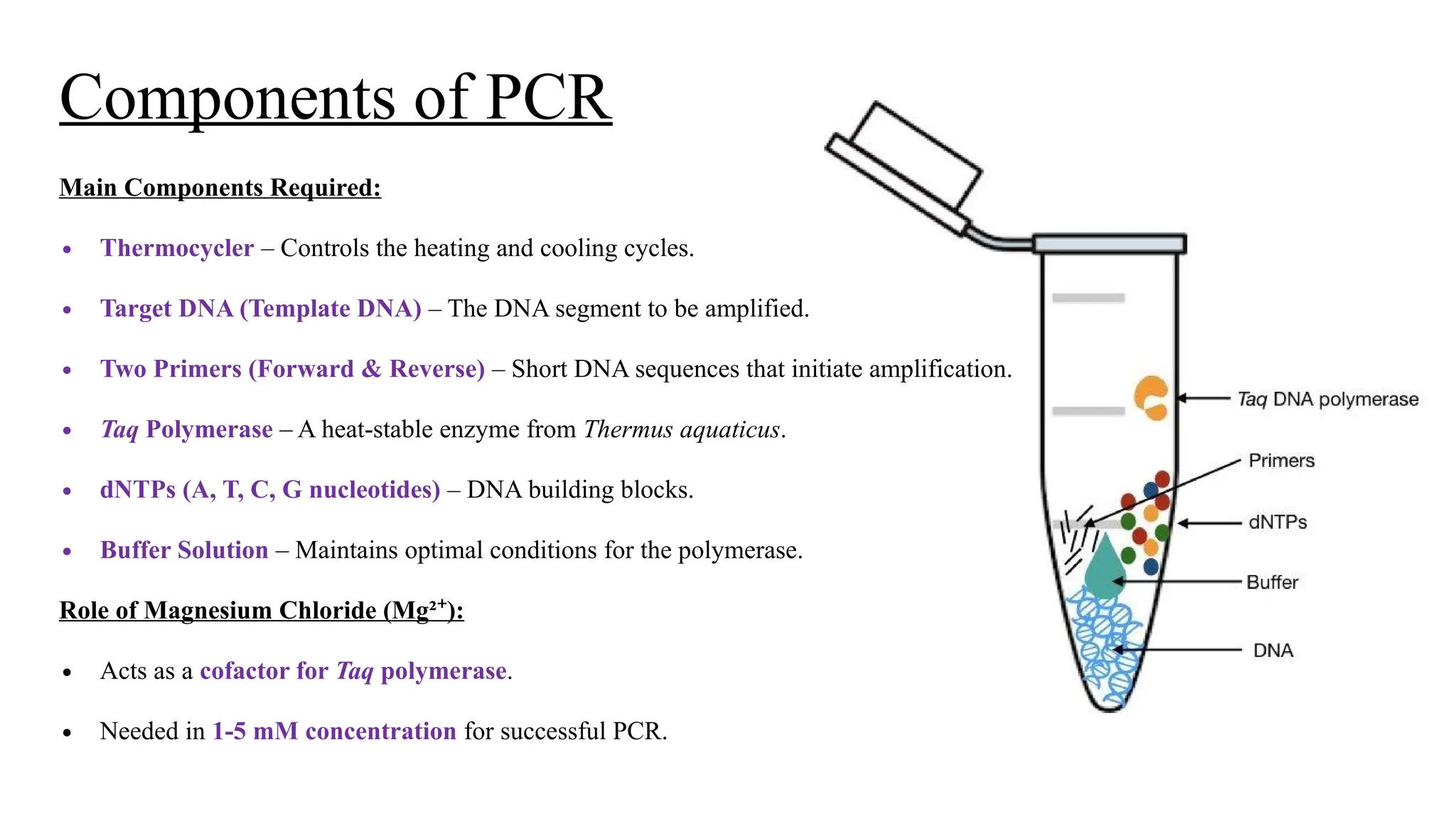 PCR(Polymerase chain reaction) and its types | PPTX