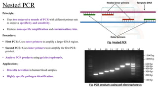 PCR(Polymerase chain reaction) and its types | PPTX