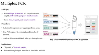 PCR(Polymerase chain reaction) and its types | PPTX