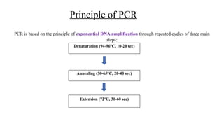 PCR(Polymerase chain reaction) and its types | PPTX
