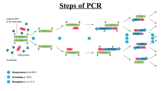 PCR(Polymerase chain reaction) and its types | PPTX