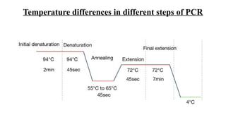 PCR(Polymerase chain reaction) and its types | PPTX