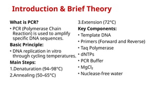 Polymerase Chain Reaction (PCR).Poer Pint | PPTX