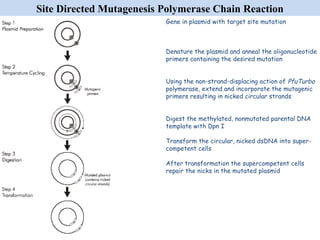 Basics and types of Polymerase Chain Reaction.pptx