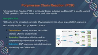 A Comprehensive Review of Polymerase Chain Reaction (PCR) | PPTX