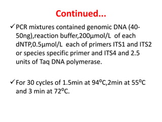 Pcr based detection of colletotrichum acutatum | PPTX