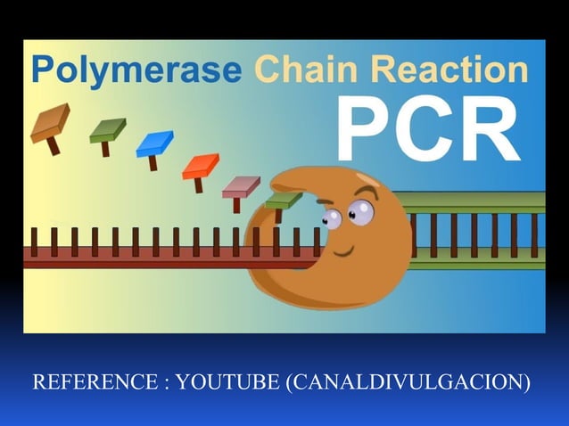 Polymerase-Chain-Reaction-PCR-Biotechnology.pptx