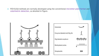 Pcr elisa | PPTX