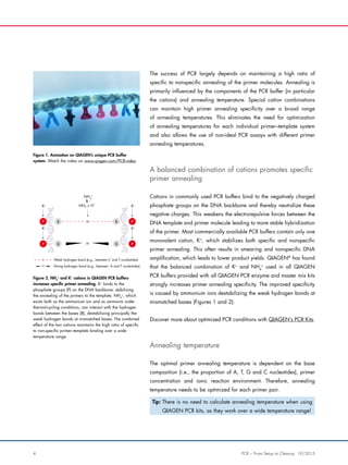 PCR - From Setup to Cleanup: A Beginner`s Guide with Useful Tips and ...