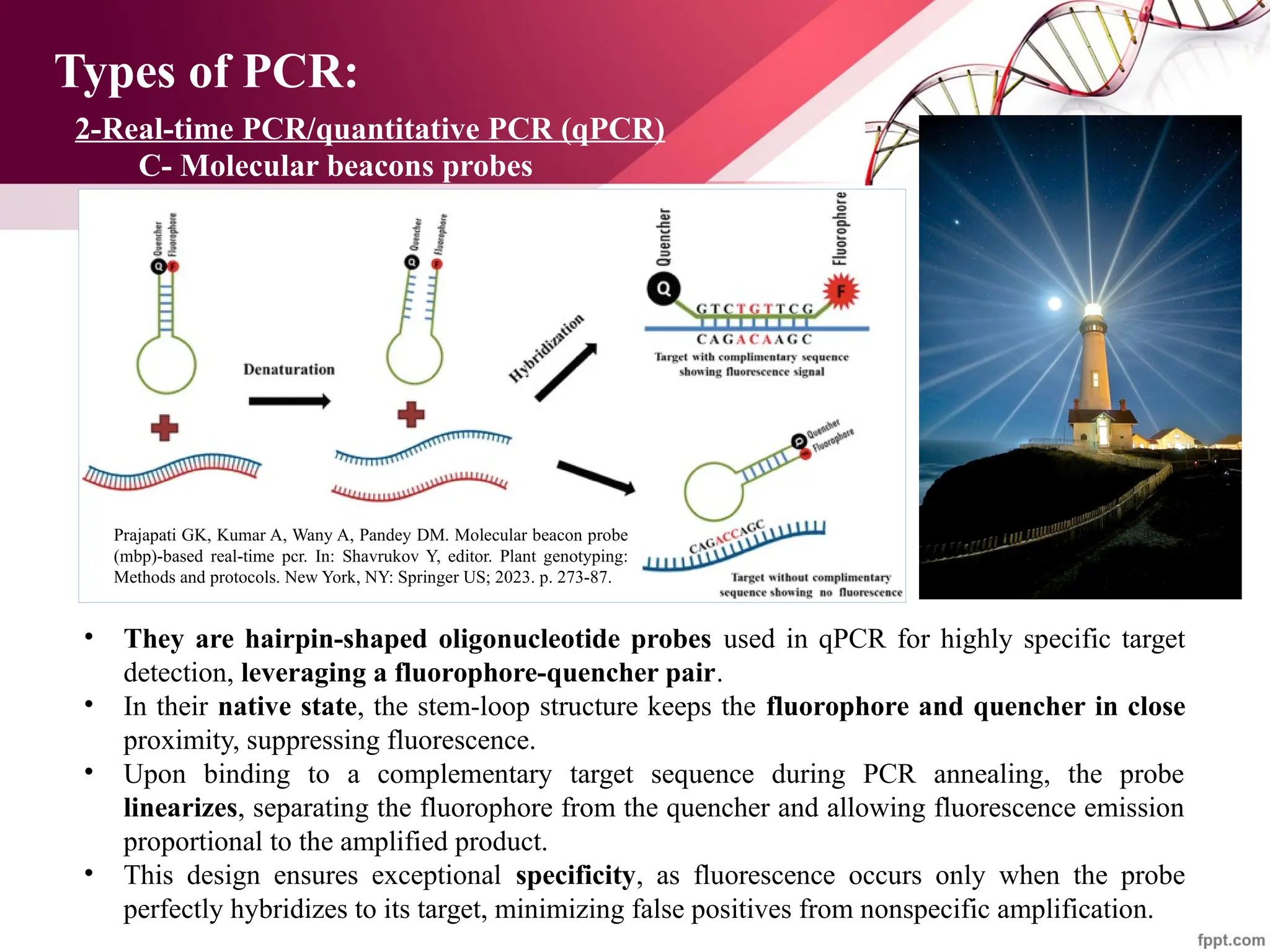 overview of the PCR - maha hammady 2025 - Copy.pptx