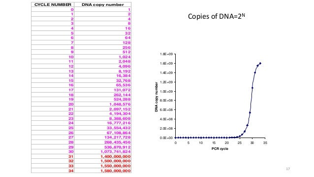 Pcr polymerase chain reaction