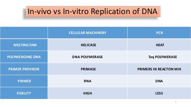 Pcr polymerase chain reaction