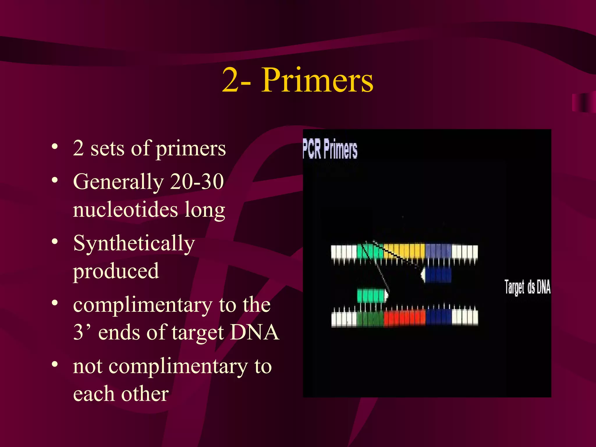 Pcr presentation | PPT