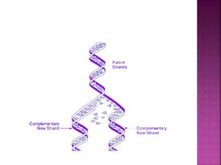 PCR | PPT
