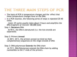 PCR | PPT