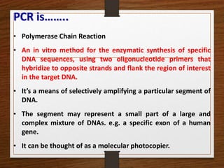 Pcr presentation Dr,Kamlesh shah | PPT