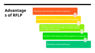 PCR RFLP for the genotype mapping and used in DNA fingerprinting | PPTX