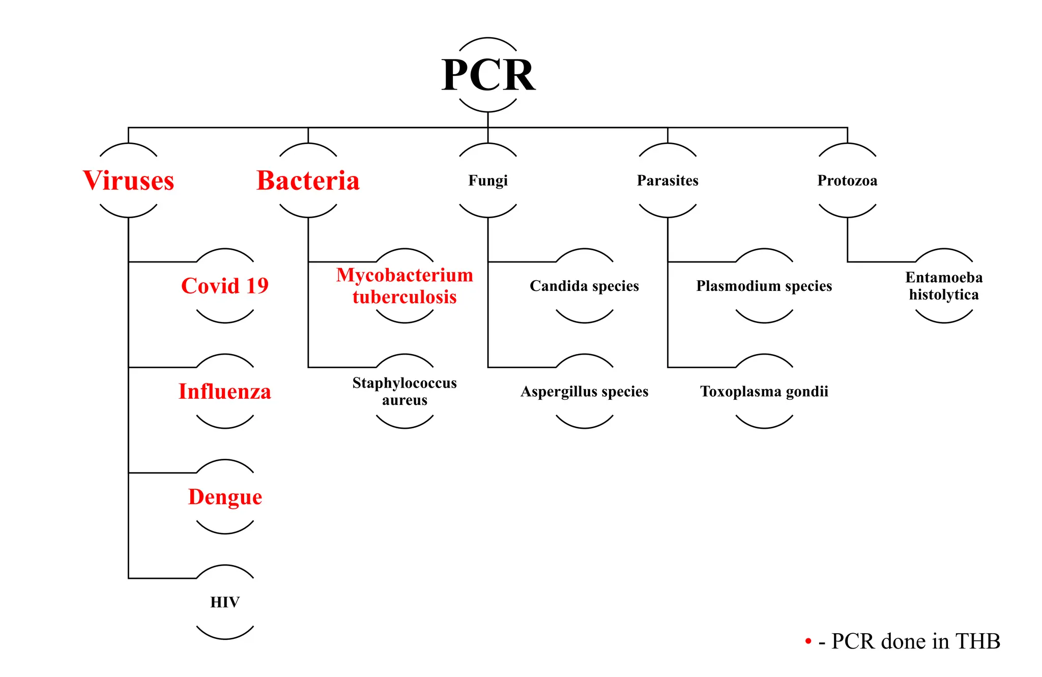 How to collect samples for different PCR tests | PPT
