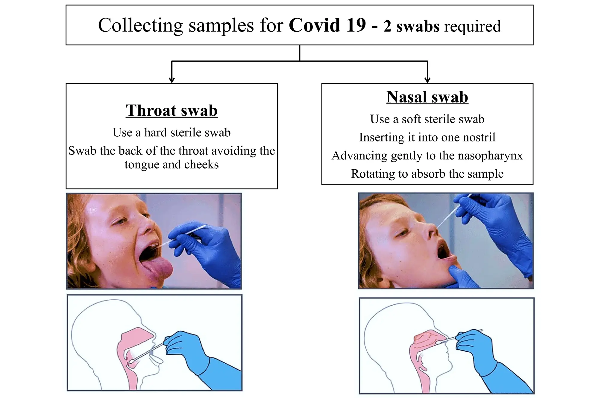 How to collect samples for different PCR tests | PPT