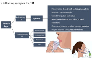How to collect samples for different PCR tests | PPT