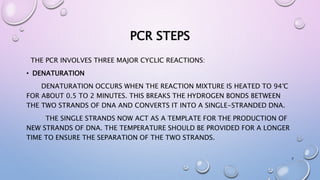 PCR (1).pptx