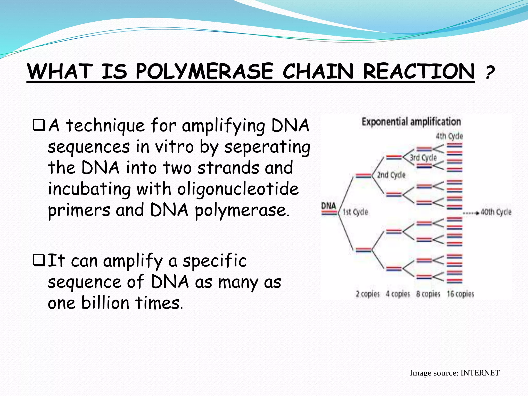 POLYMERASE CHAIN REACTION | PPTX | Chemistry | Science