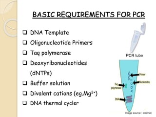 POLYMERASE CHAIN REACTION | PPTX
