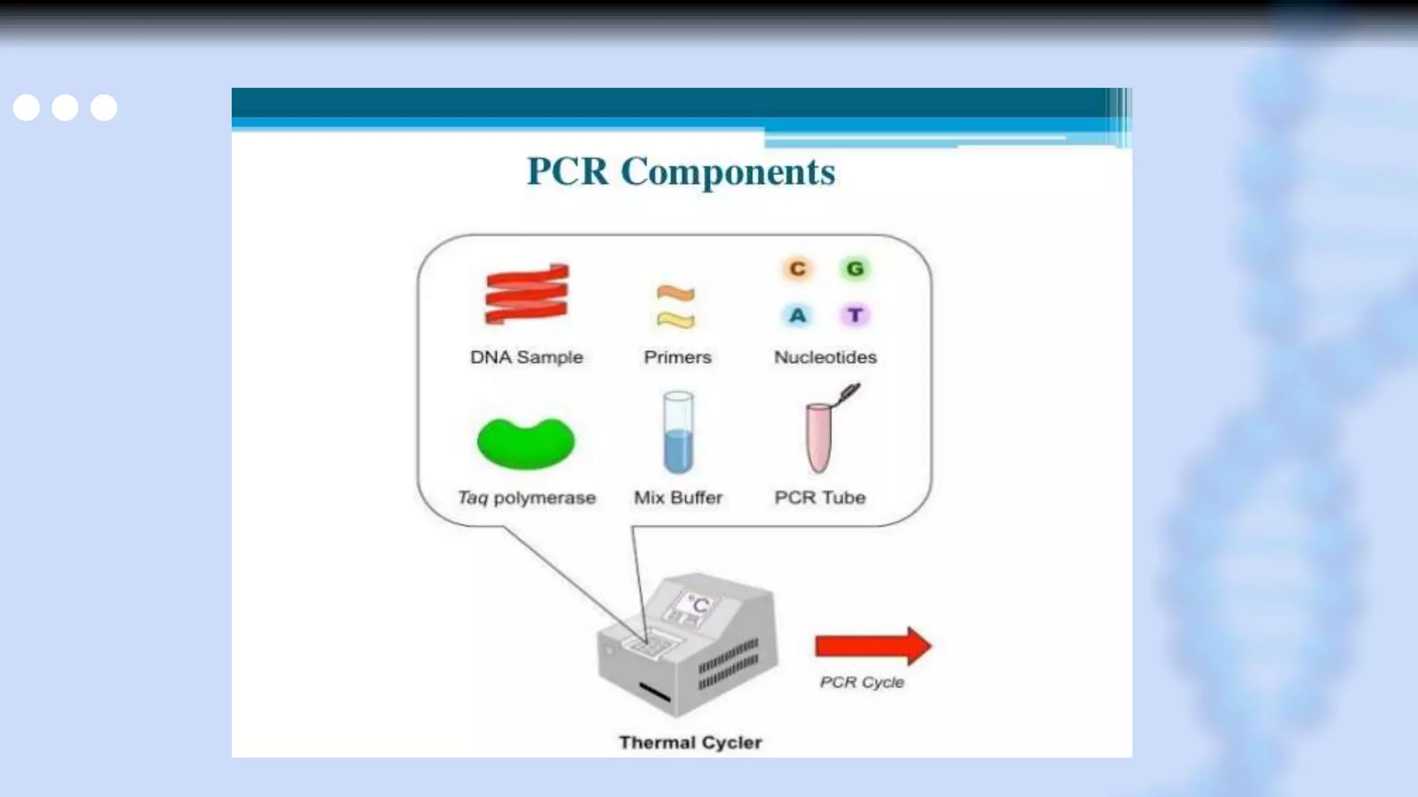 PCR .pptx