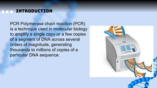 PCR .pptx