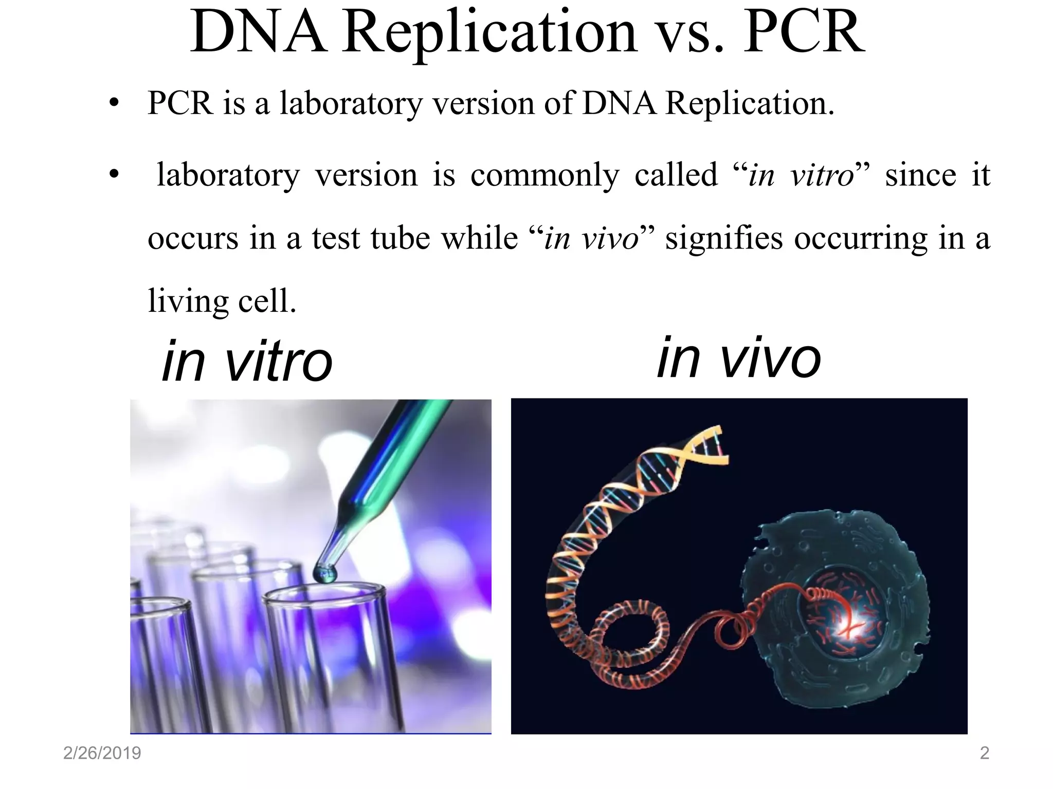 Pcr | PDF