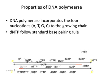 Pcr | PDF
