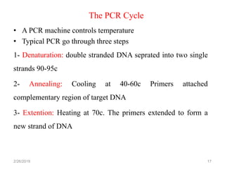 Pcr | PDF