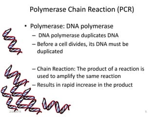 Pcr | PDF