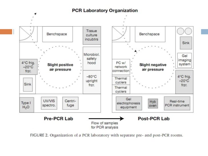 Pcr 29 07-2011 final